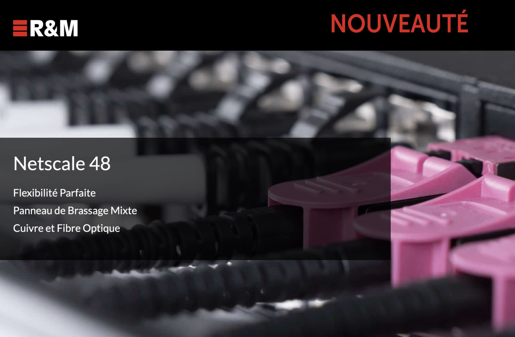 R&M : Netscale 48 – Groupe Alliance-Com